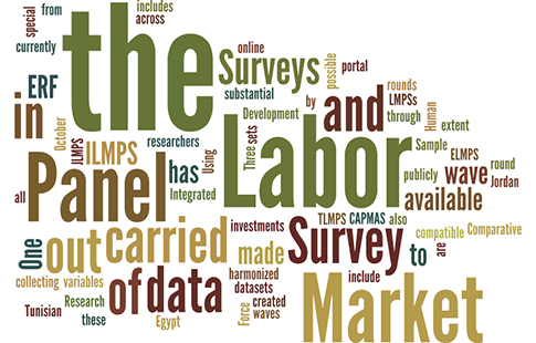 Comparative Labor and Human Development Research Using Labor Market ...