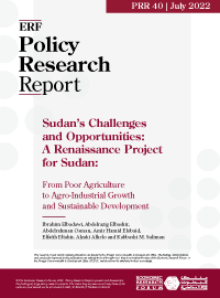 Sudan's Challenges and Opportunities: A Renaissance Project for Sudan ...