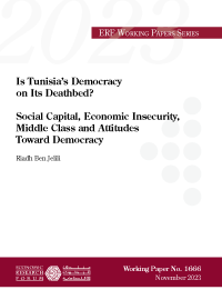 Is Tunisia’s Democracy on Its Deathbed? Social Capital, Economic ...