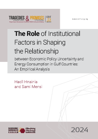The Role of Institutional Factors in Shaping the Relationship between ...