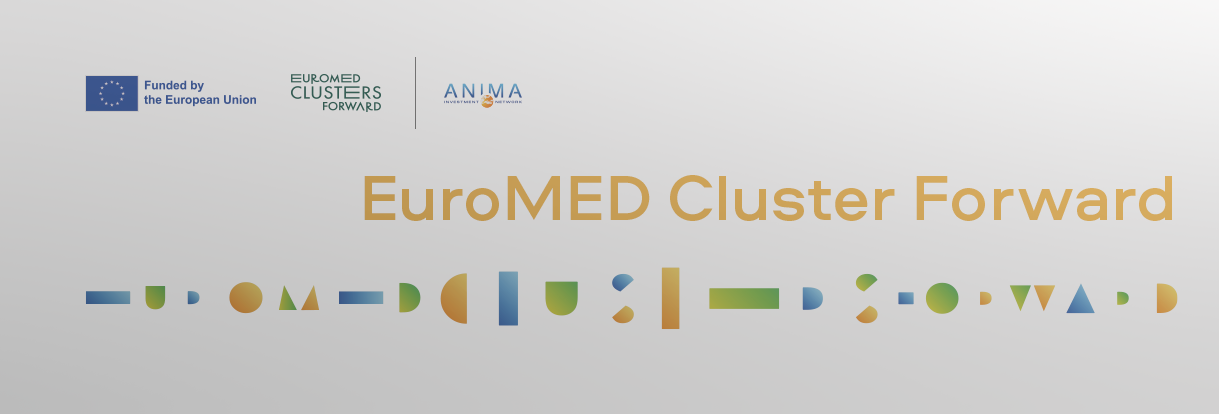 EuroMED Cluster Forward - Economic Research Forum (ERF)