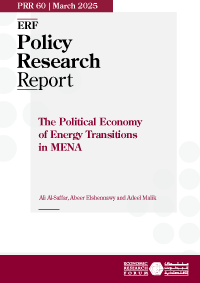 Policy Research Reports Archives - Economic Research Forum (ERF)