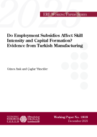 Do Employment Subsidies Affect Skill Intensity and Capital Formation ...